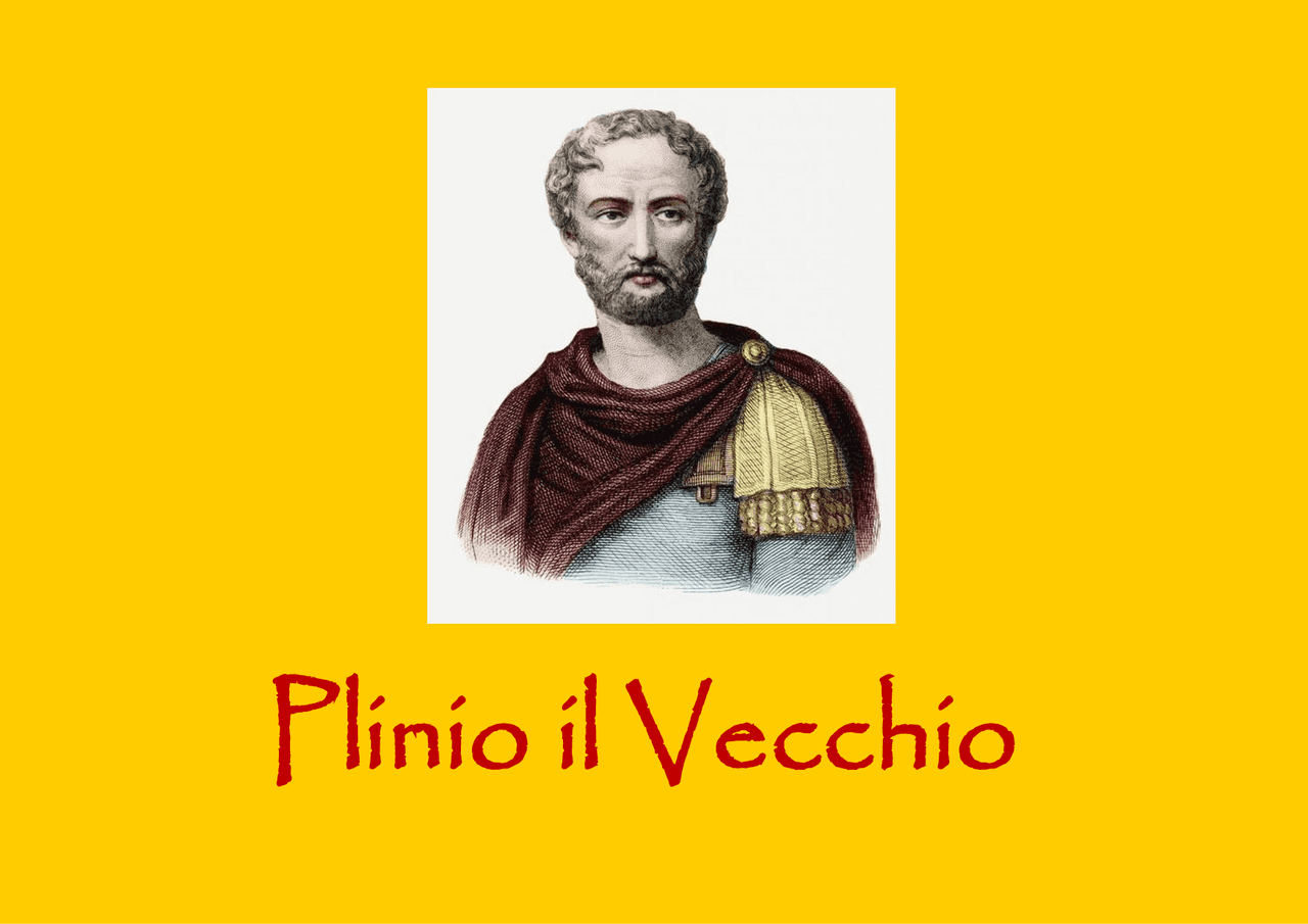 Plinio il Vecchio: biografia e opere - Docsity