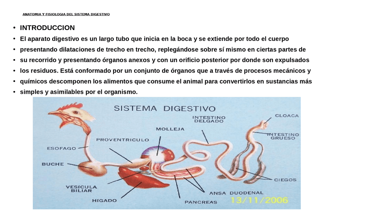 Investigacion de altas geneticas | Monografías, Ensayos de Bioquímica e ...
