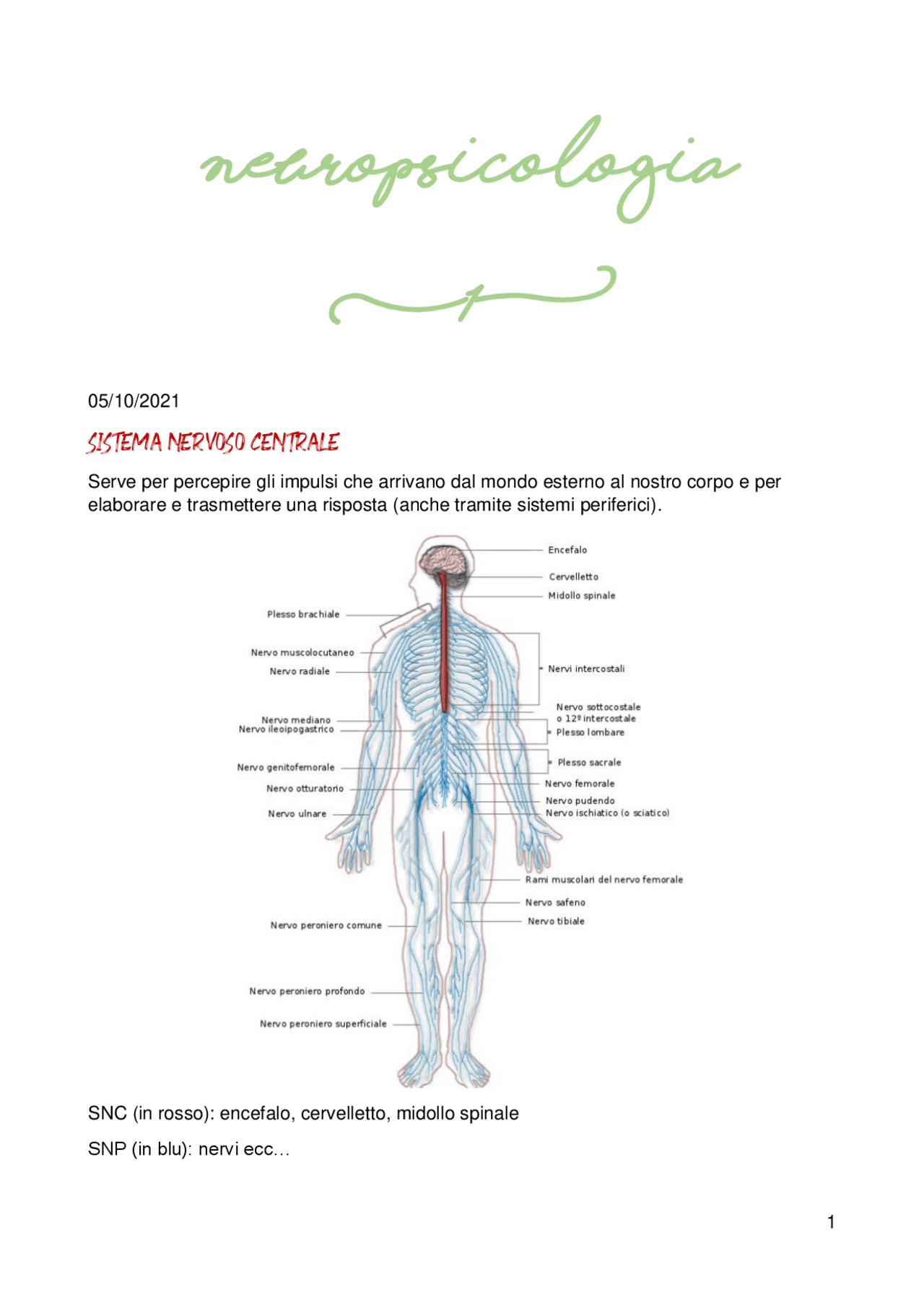 Appunti Corso Neuropsicologia Prima Parte Docsity