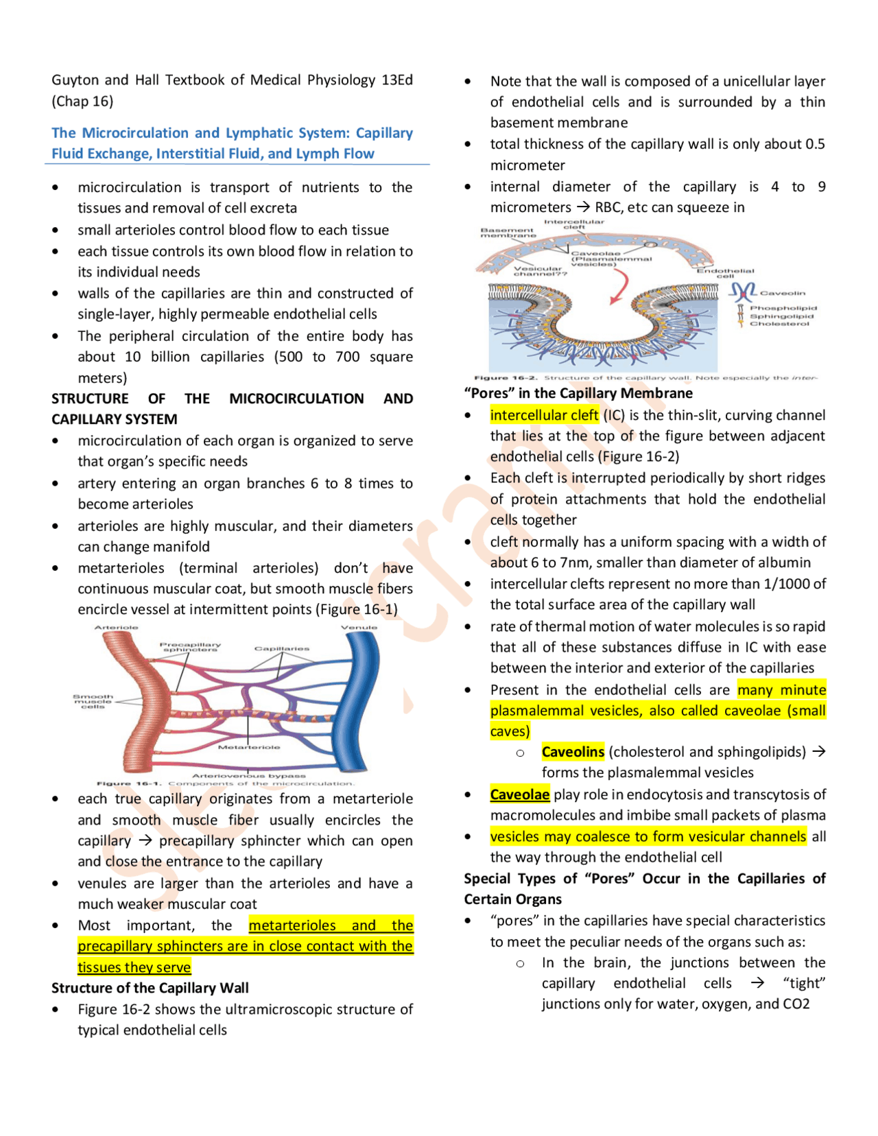 GUYTON MICROCIRCULATION AND LYMPHATIC CIRCULATION - Docsity