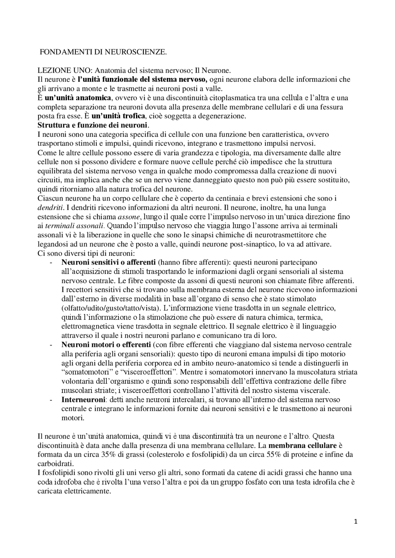 Fondamenti Di Neuroscienze Docsity