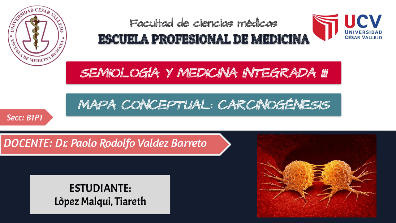 Un Resumen Del Proceso De Carcinogenesis Docsity