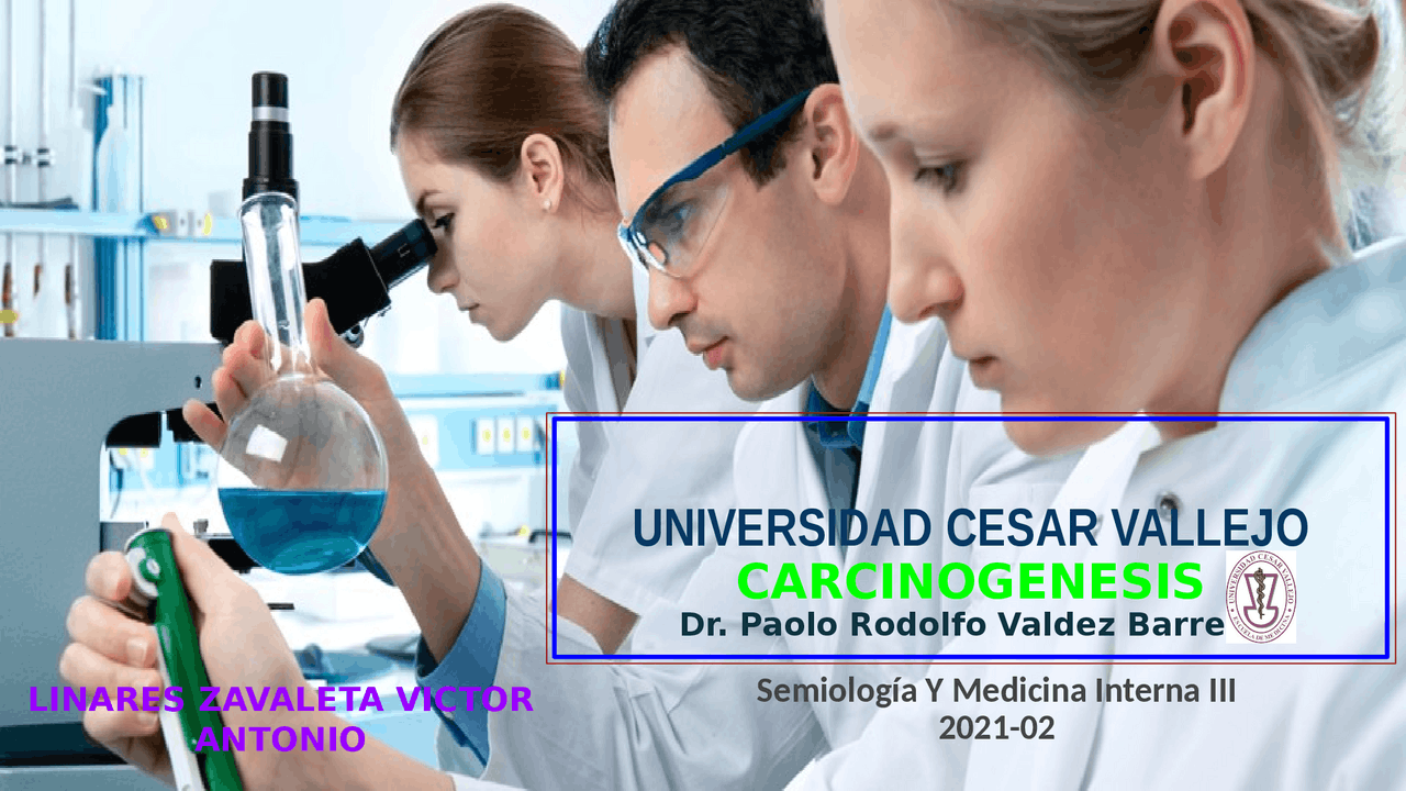 Proceso 2 De La Carcinogenesis Docsity