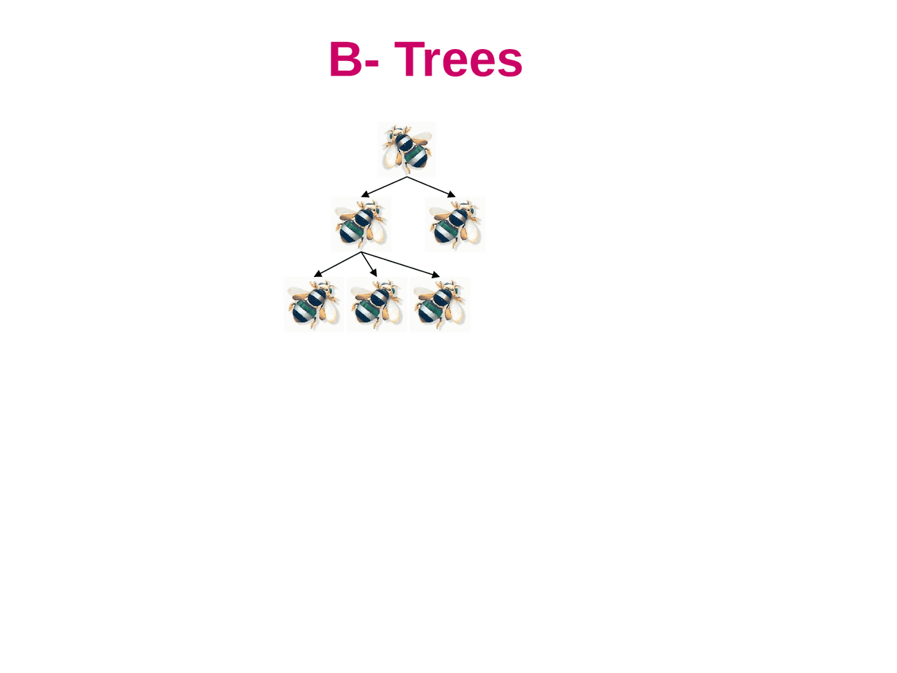 Data Structures And Algorithm Analysis Docsity