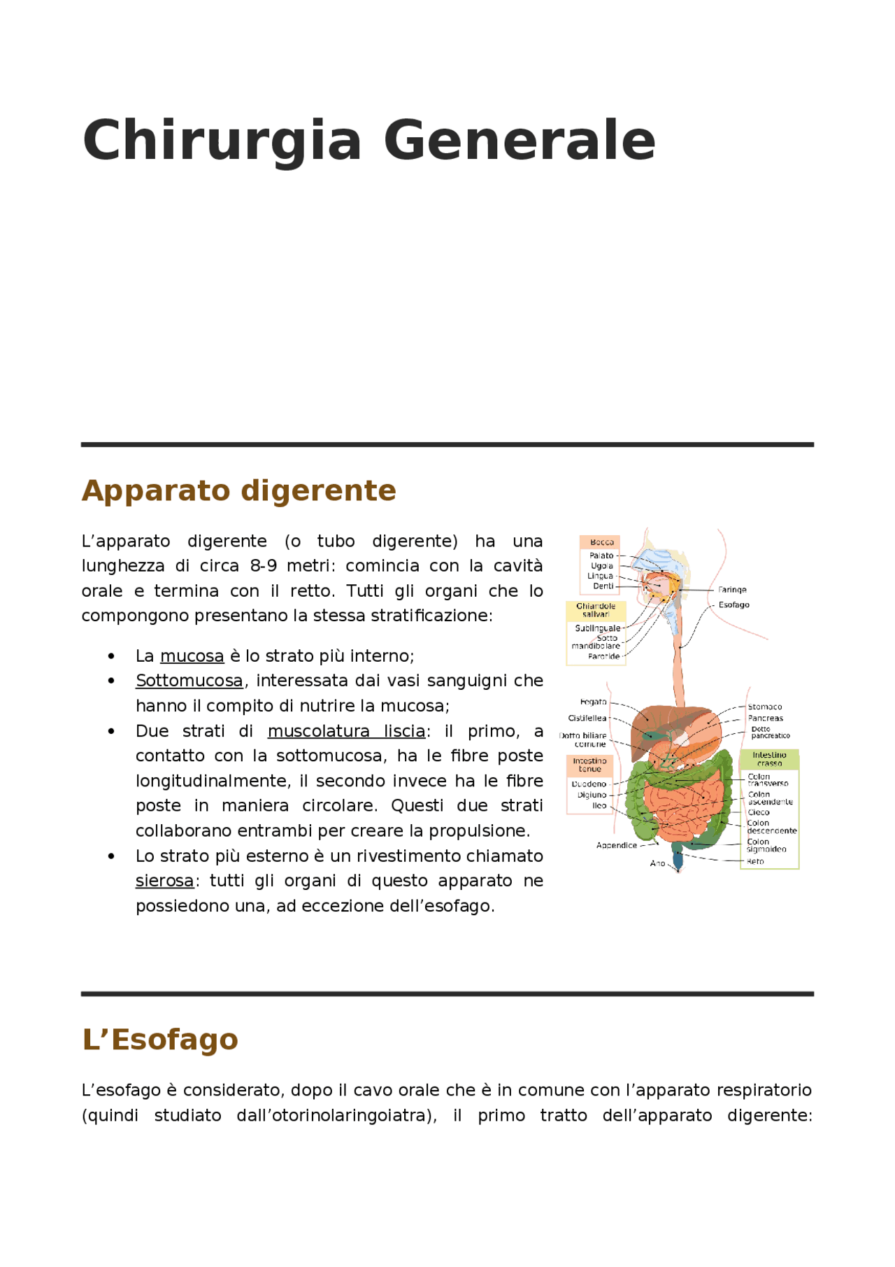 Appunti Di Chirurgia Generale Docsity