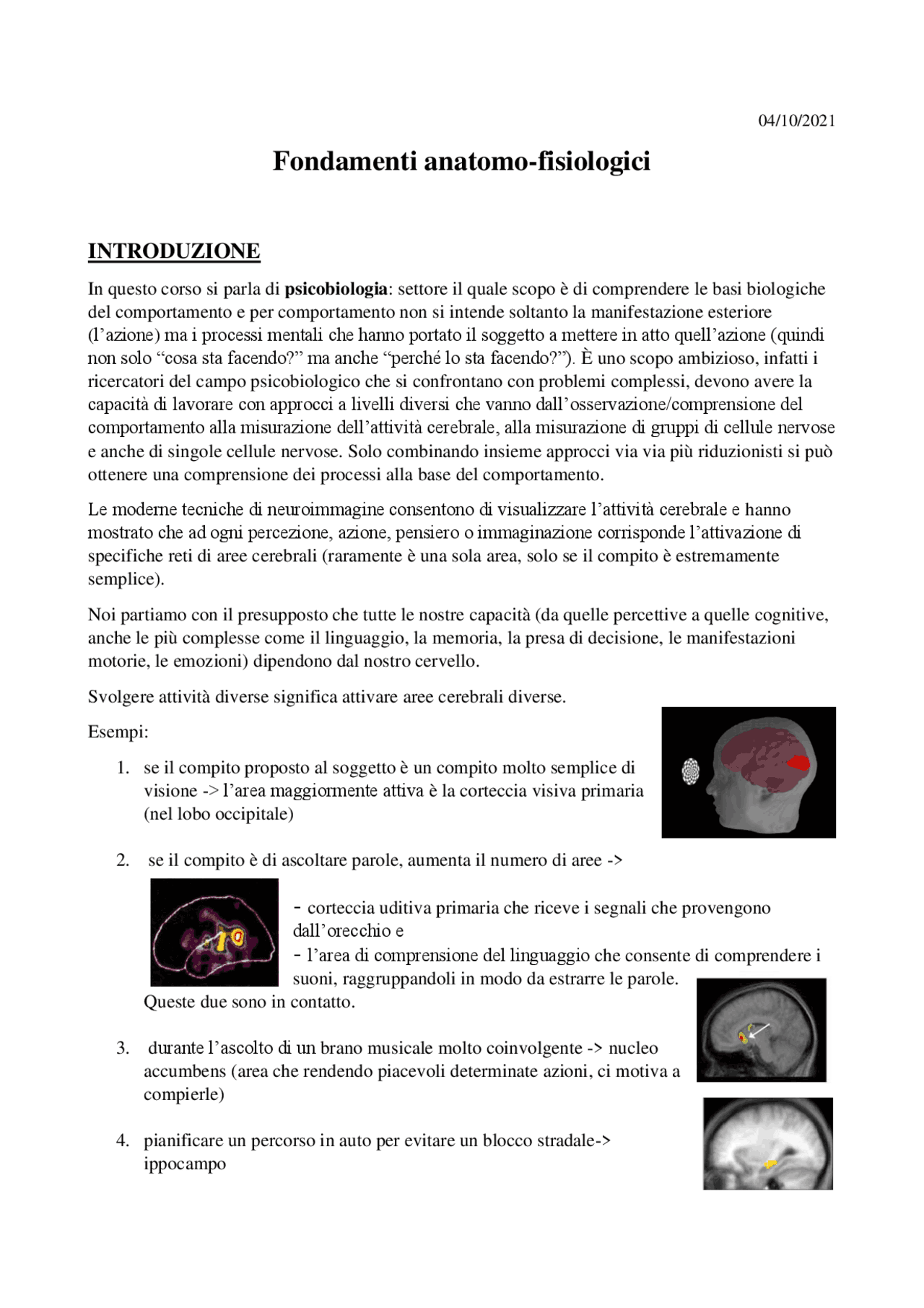 Primo modulo fondamenti anatomo-fisiologici - Docsity