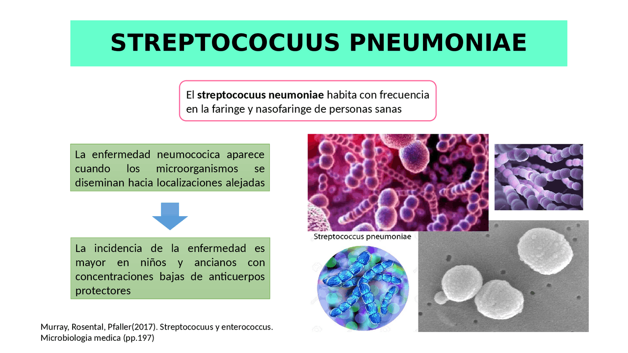AGENTES ETIOLOGICOS | Guías, Proyectos, Investigaciones de ...