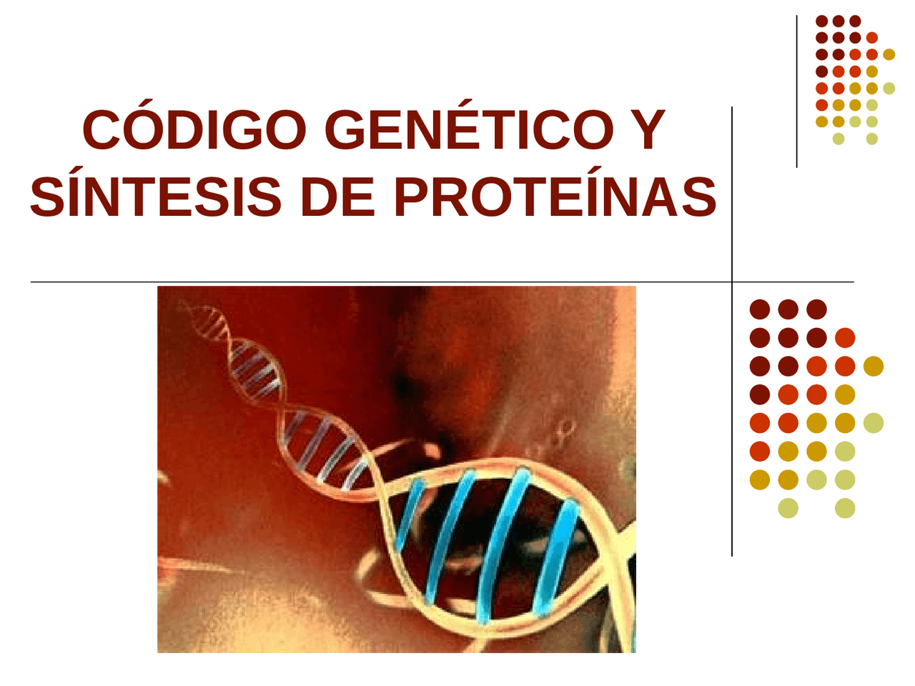 Código genético y síntesis de proteína resumen | Diapositivas de ...