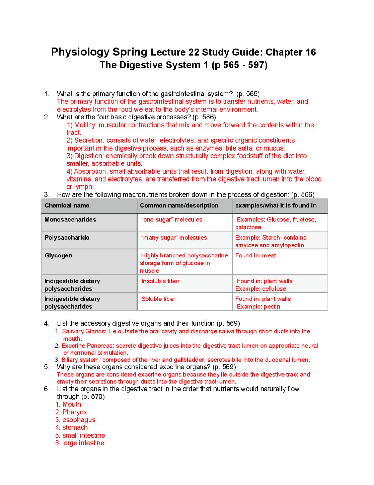 The Digestive System Guide Docsity