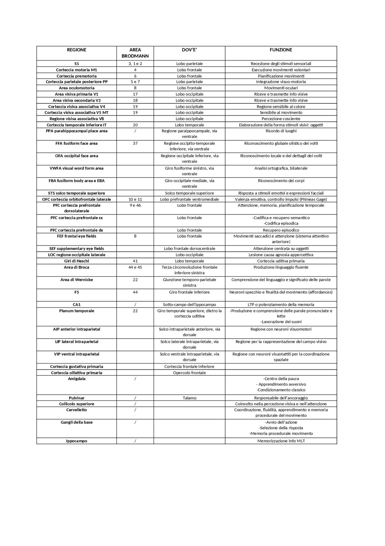 Schema Delle Aree Cerebrali E Funzioni Docsity