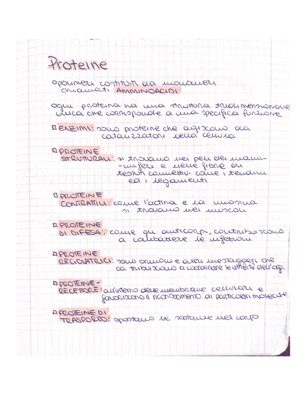 Cosa Sono Le Proteine Docsity