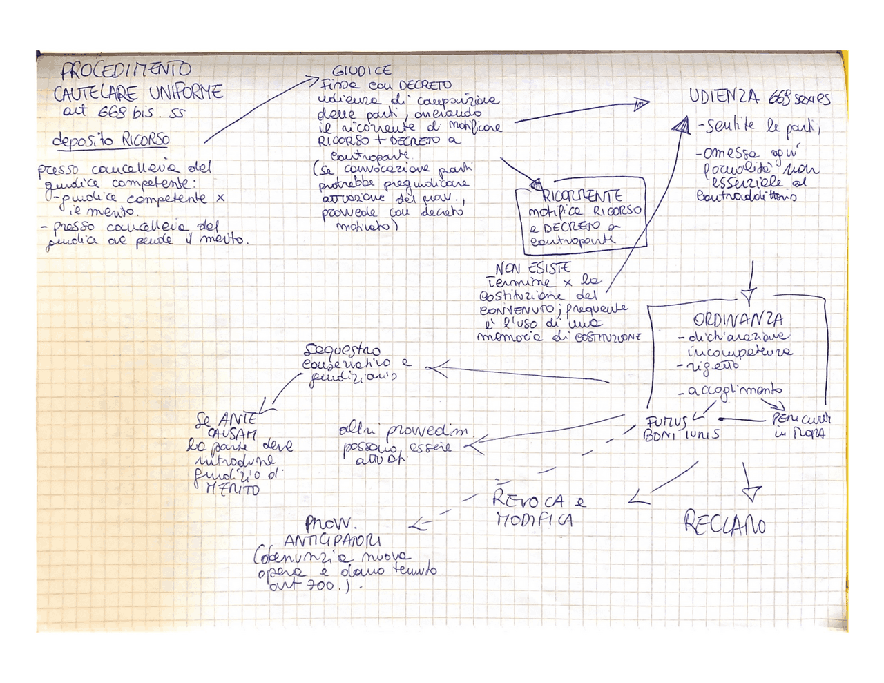 Procedimento Cautelare Uniforme Schemi E Mappe Concettuali Di Diritto