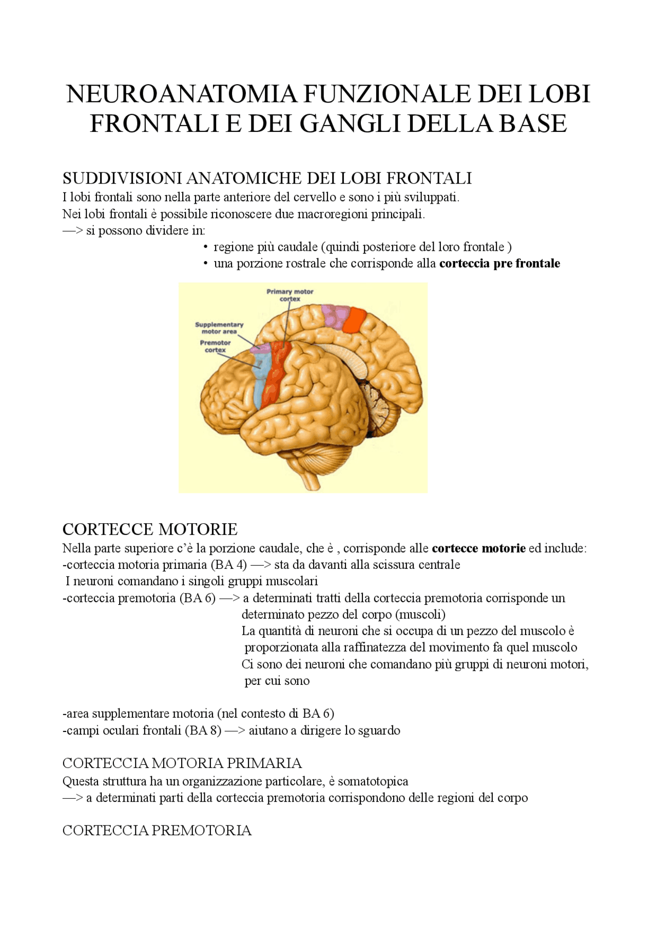Appunti sulla "neuroanatomia funzionale dei lobi frontali e dei gangli ...