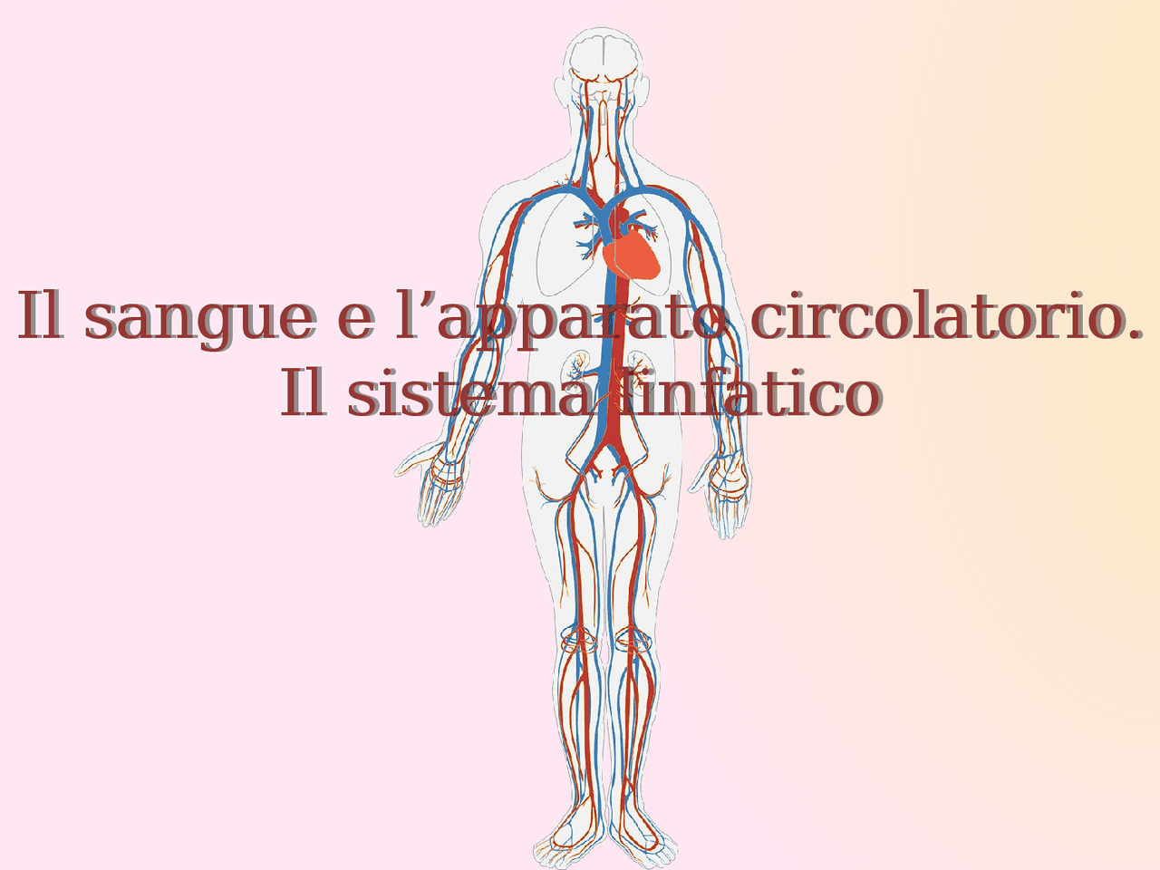 Apparato Circolatorio Docsity