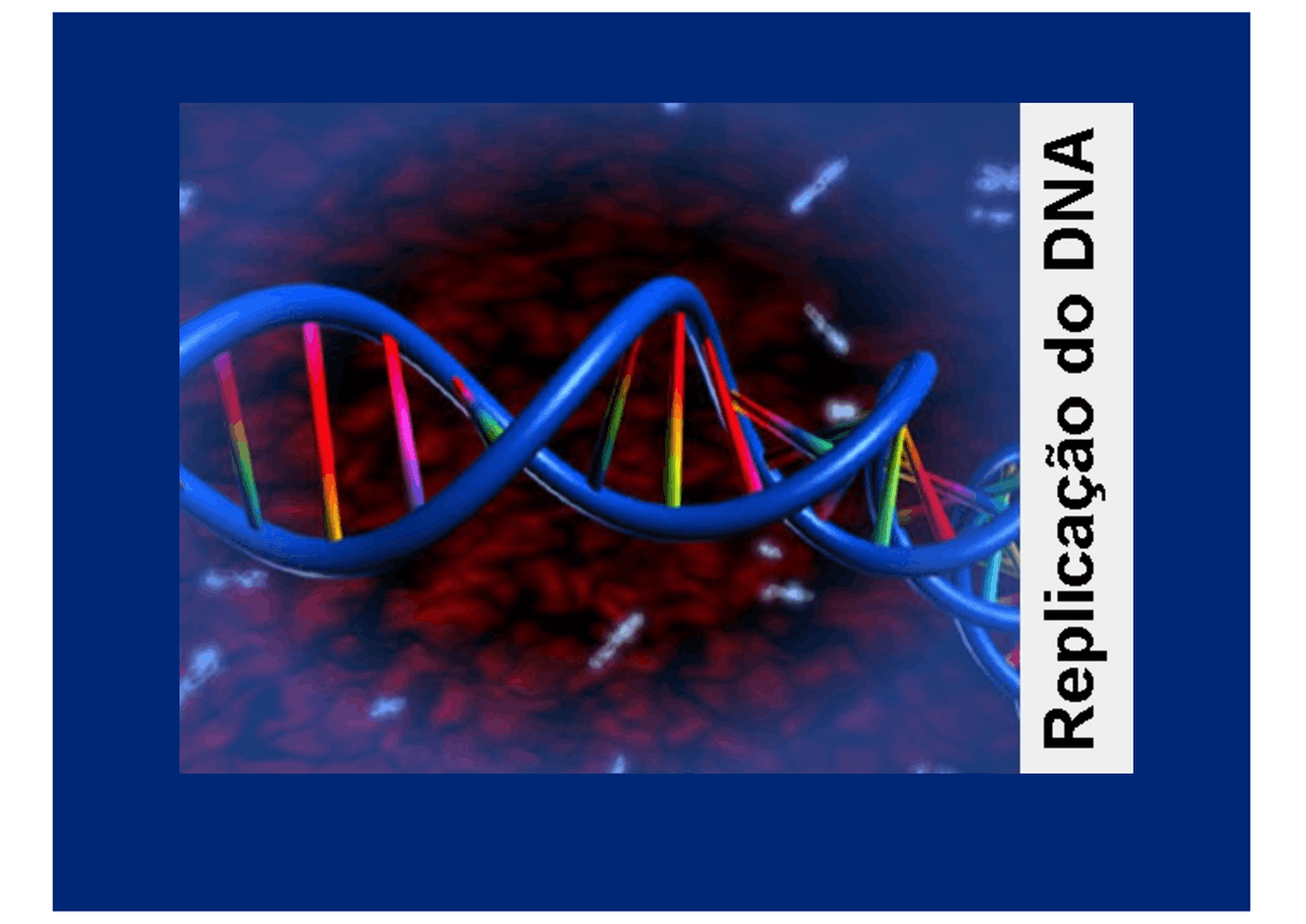 PPT sobre Replicação DNA - Docsity