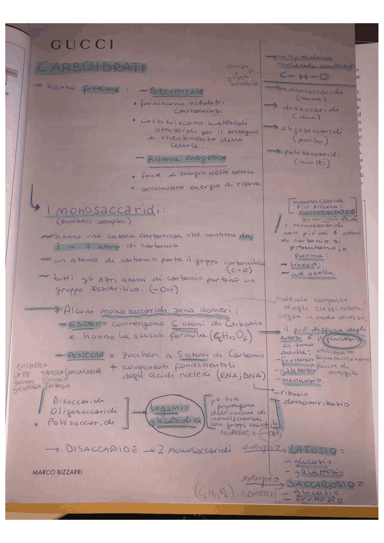 Carboidrati Appunti Schematizzati Docsity