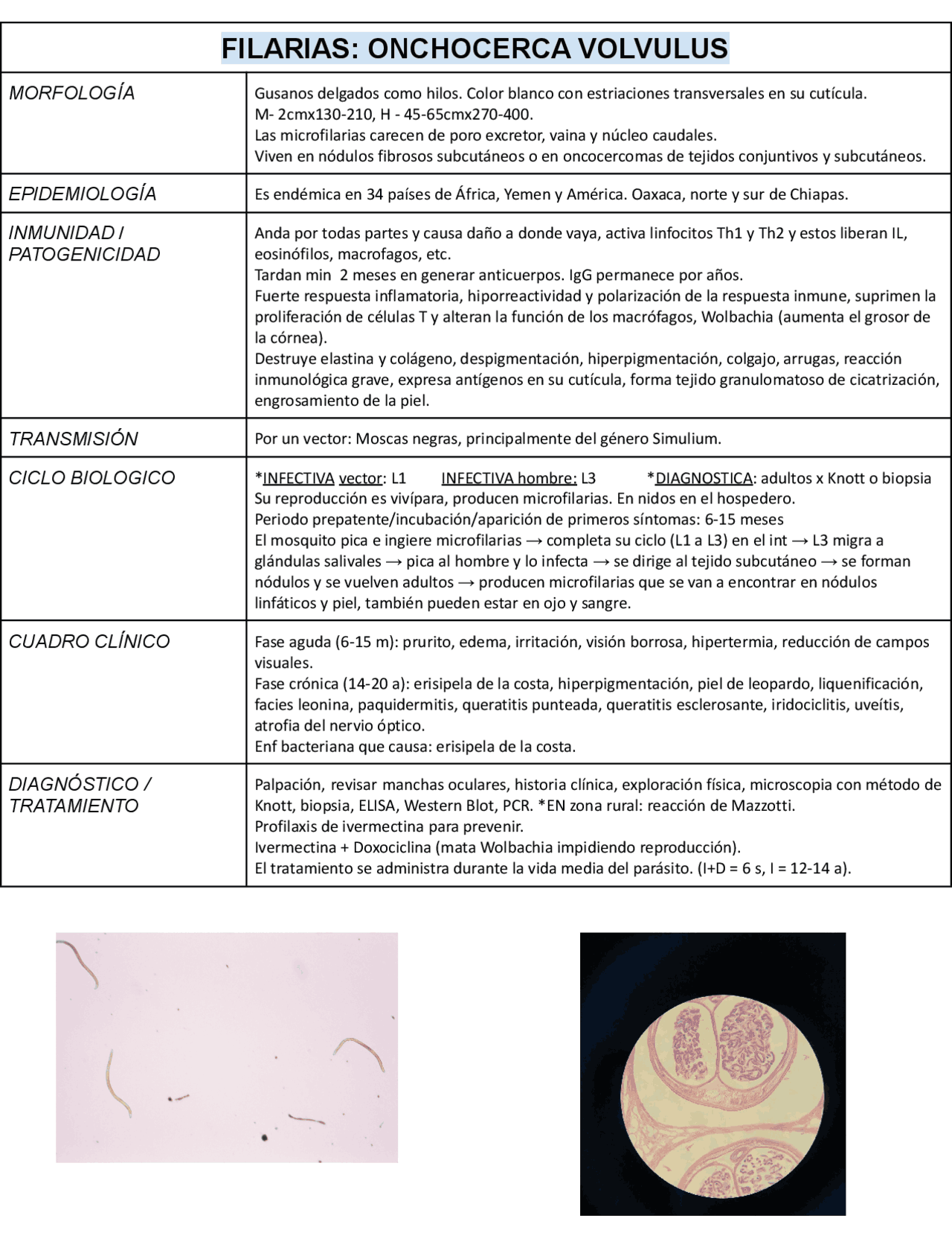 Onchocerca Volvulus. - Docsity