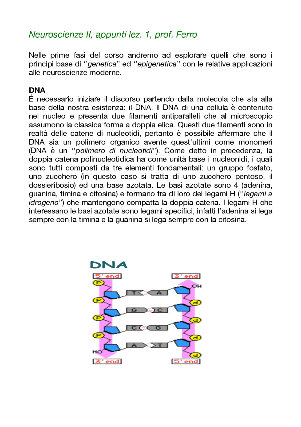 Neuroscienze Dna E Rna Docsity