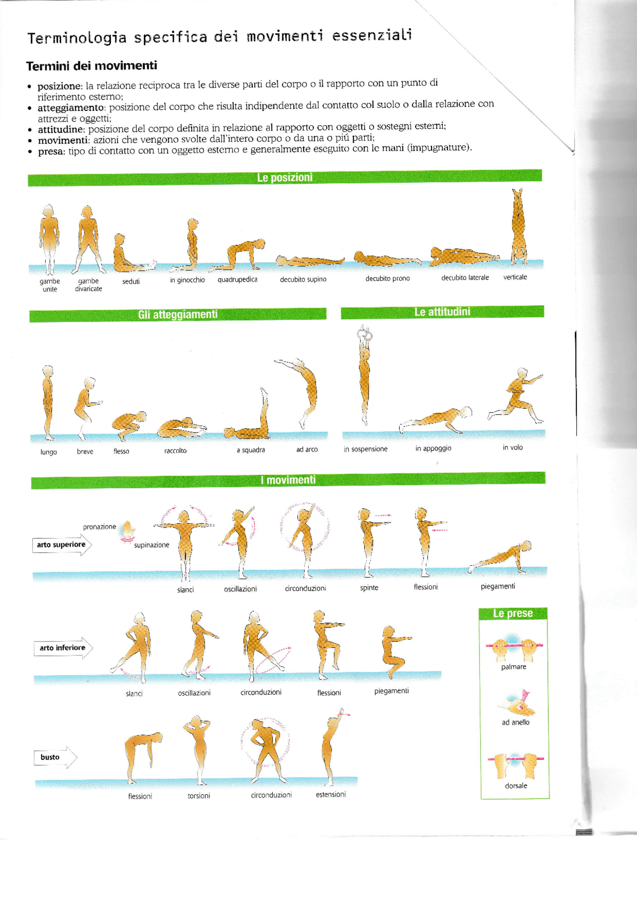 Titolo Di Questo Documento Di Scienze Schemi E Mappe Concettuali Di