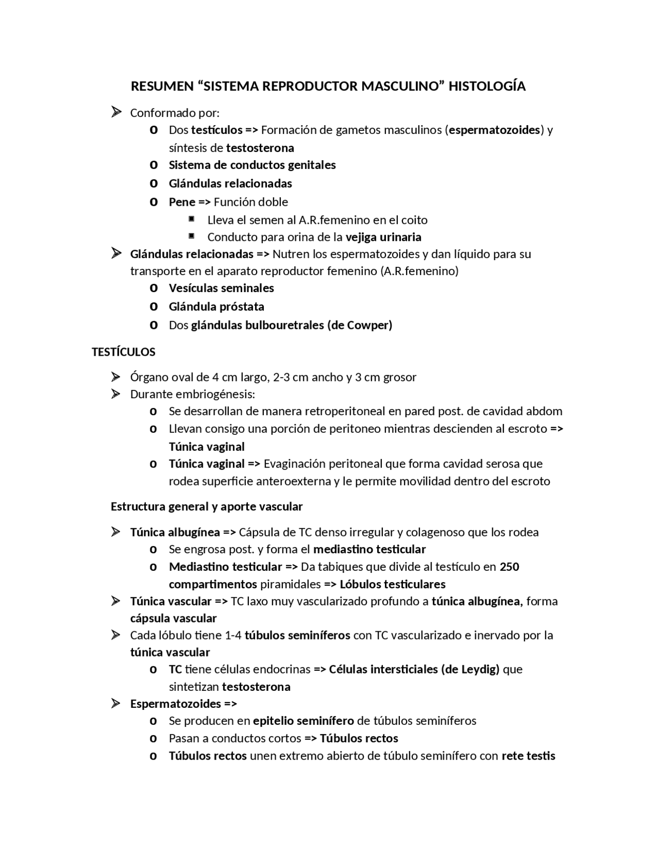 Tejido Aparato Reproductor Masculino Apuntes De Histología Docsity