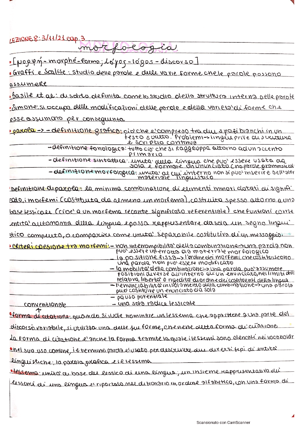 Appunti Sintetici Di Morfologia Docsity