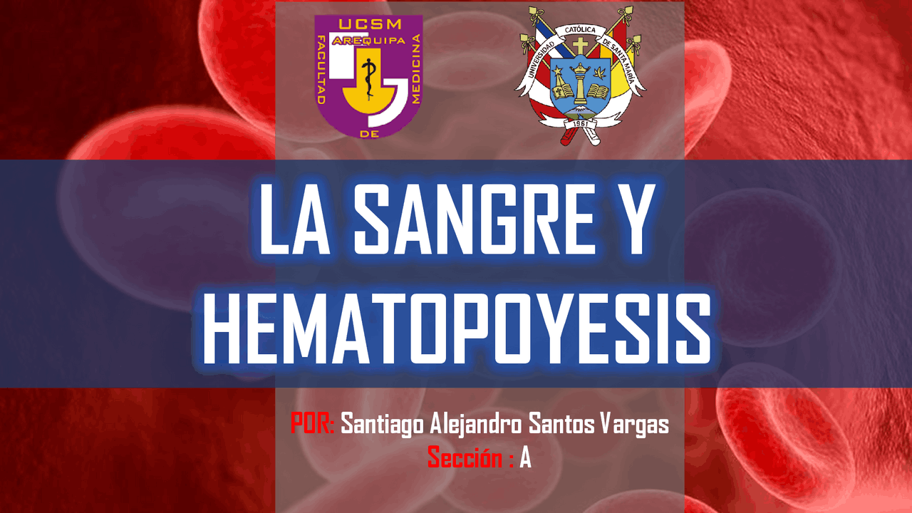 Histología De La Sangre Y Hematopoyesis Docsity