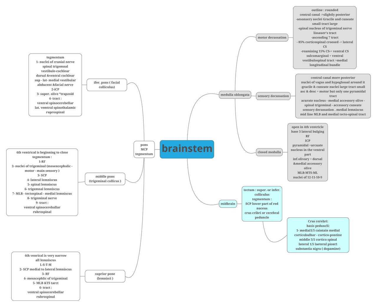 histology of brainstem | Schemes and Mind Maps Histology | Docsity