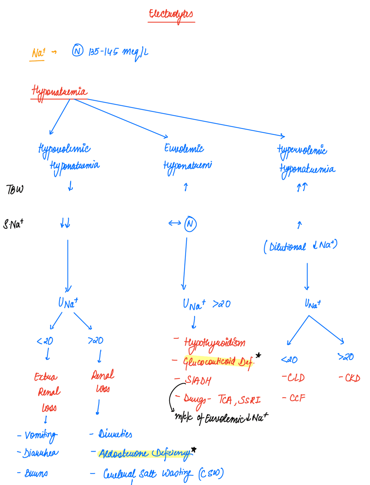 Electrolytes and their Disorders | Schemes and Mind Maps Nephrology ...