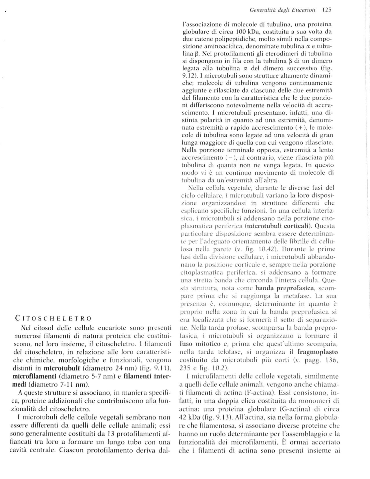 Citoscheletro Botanica Generale Docsity
