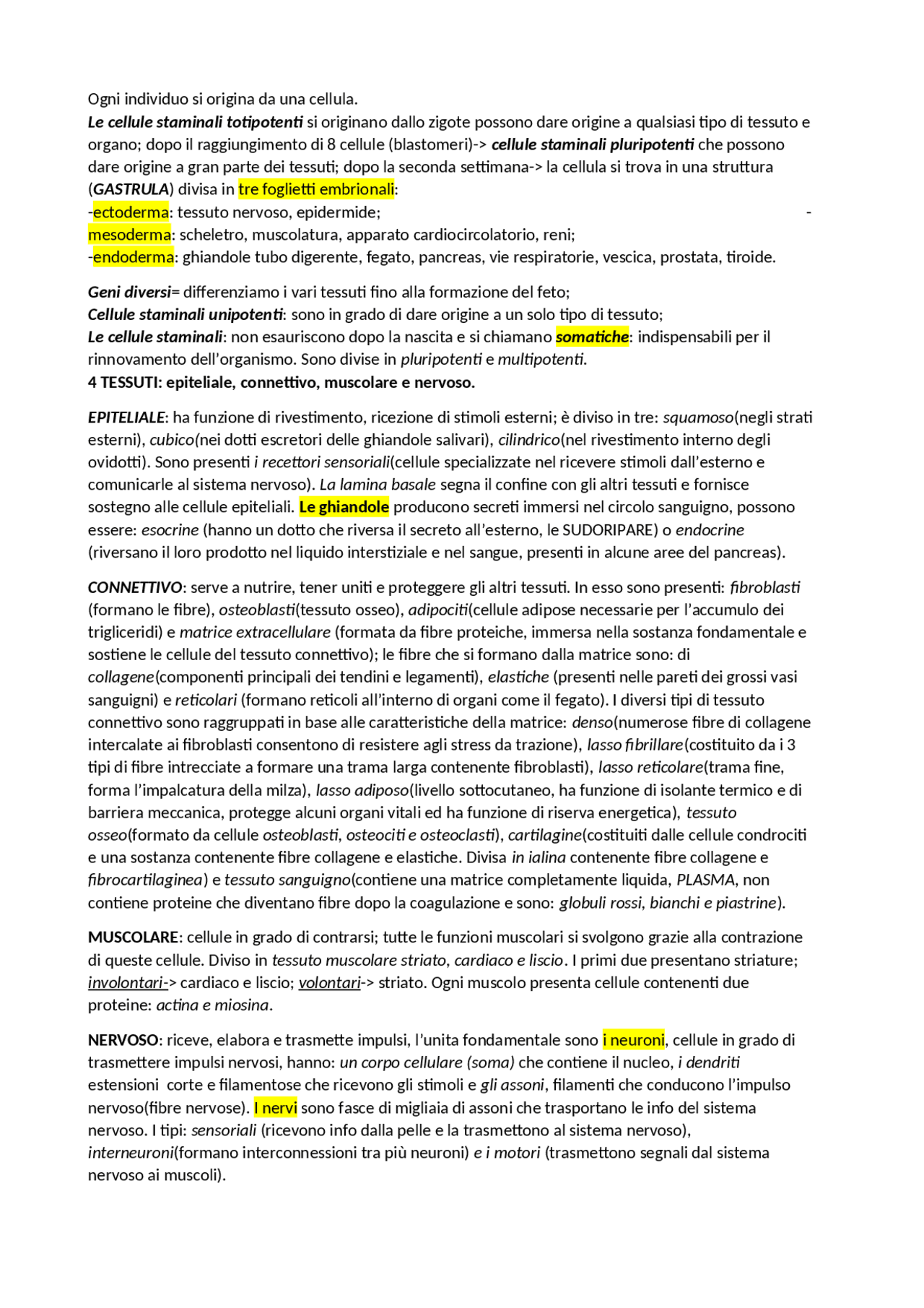 Sistema Respiratorio Docsity