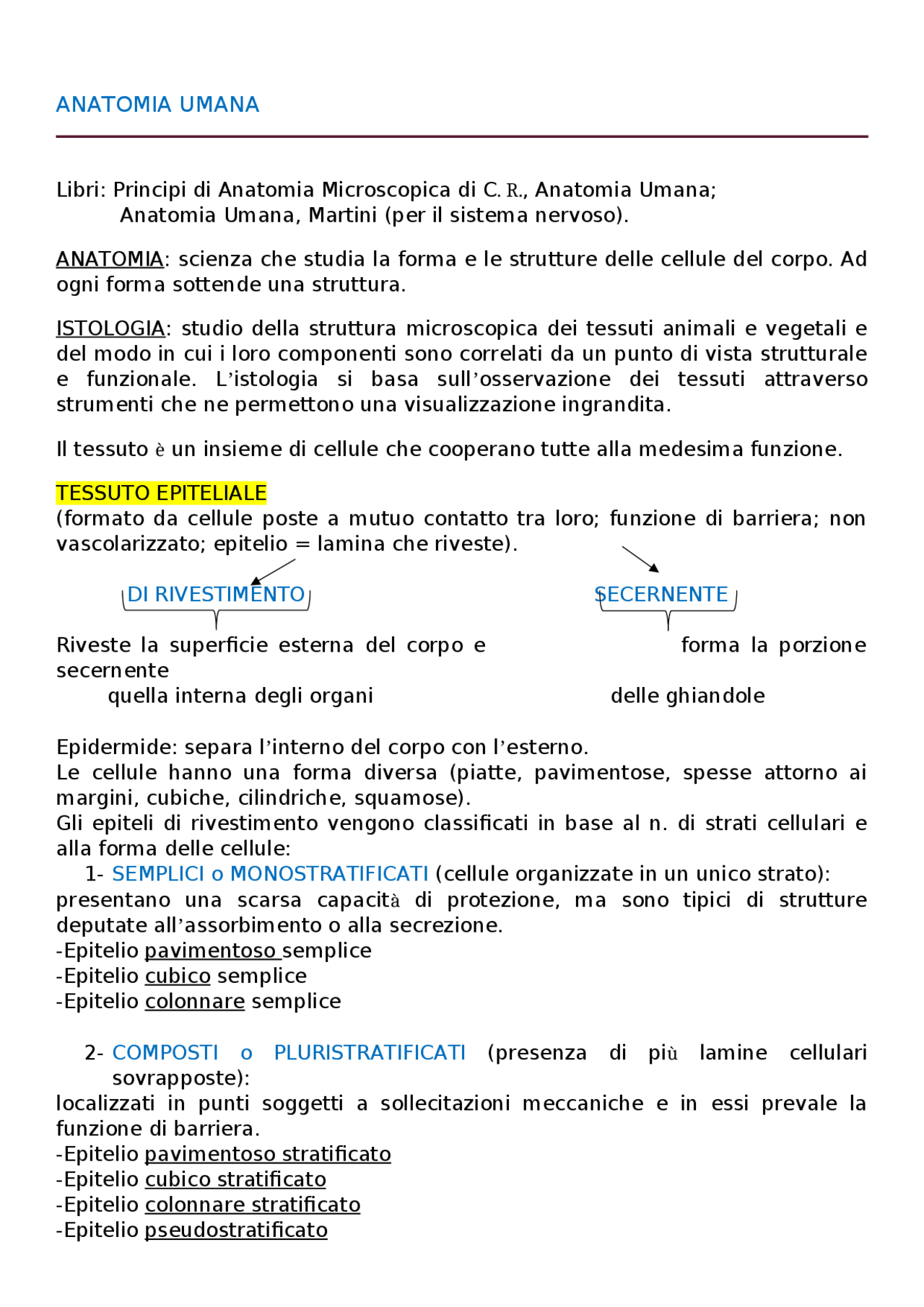 Anatomia Umana Neuroanatomia Docsity