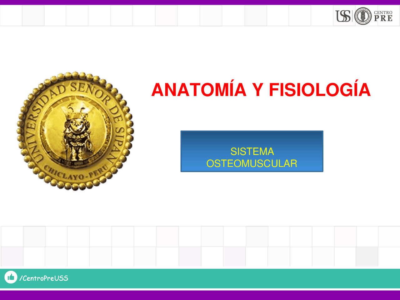 Sistema Óseo Anatomia Cepre Uss Docsity