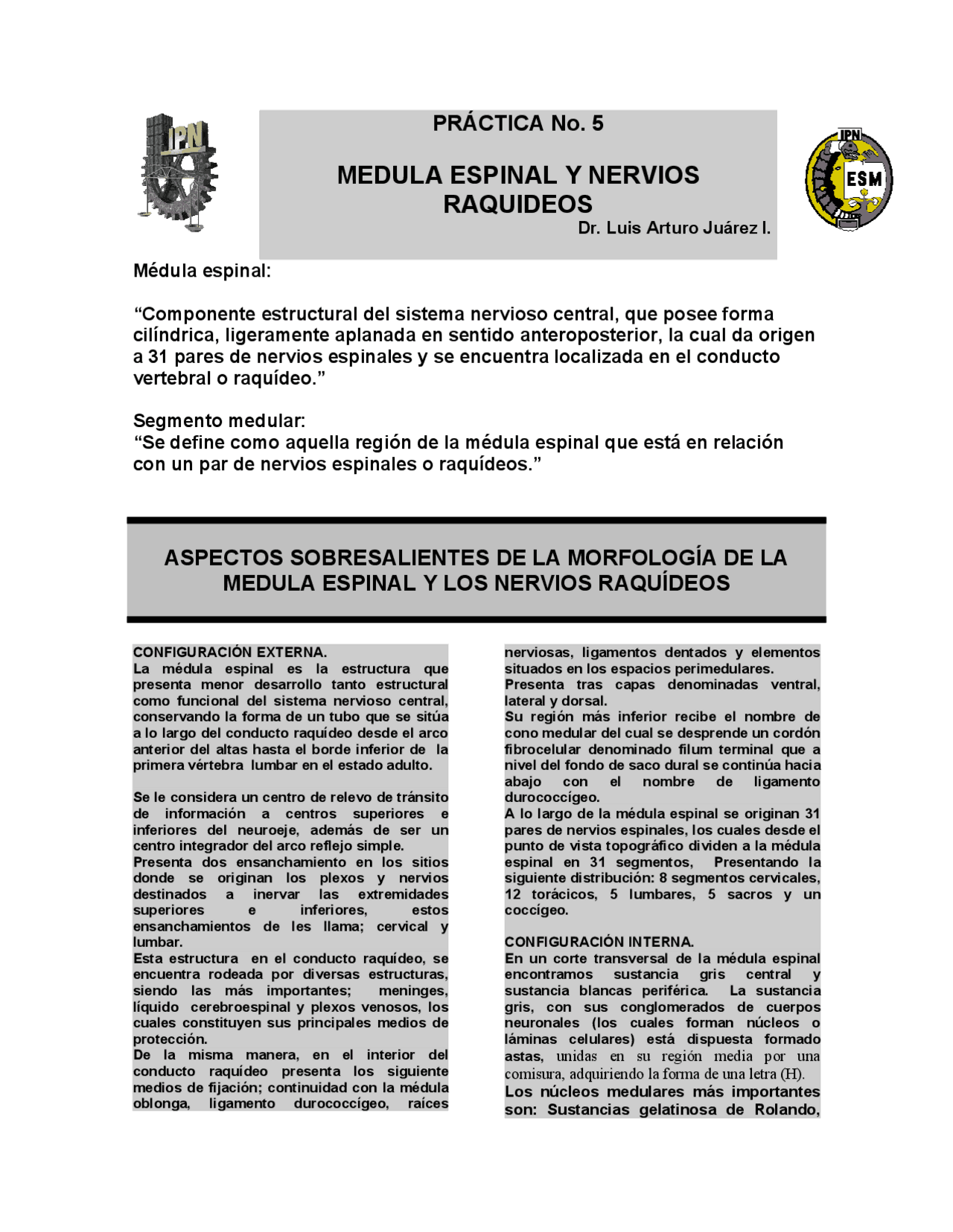 Practica 5 Neuroanatomía Docsity