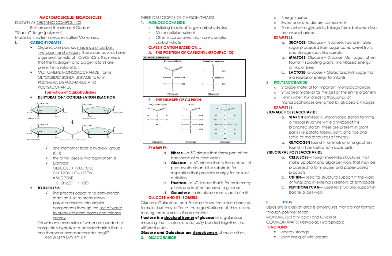 Language Interference Research Docsity