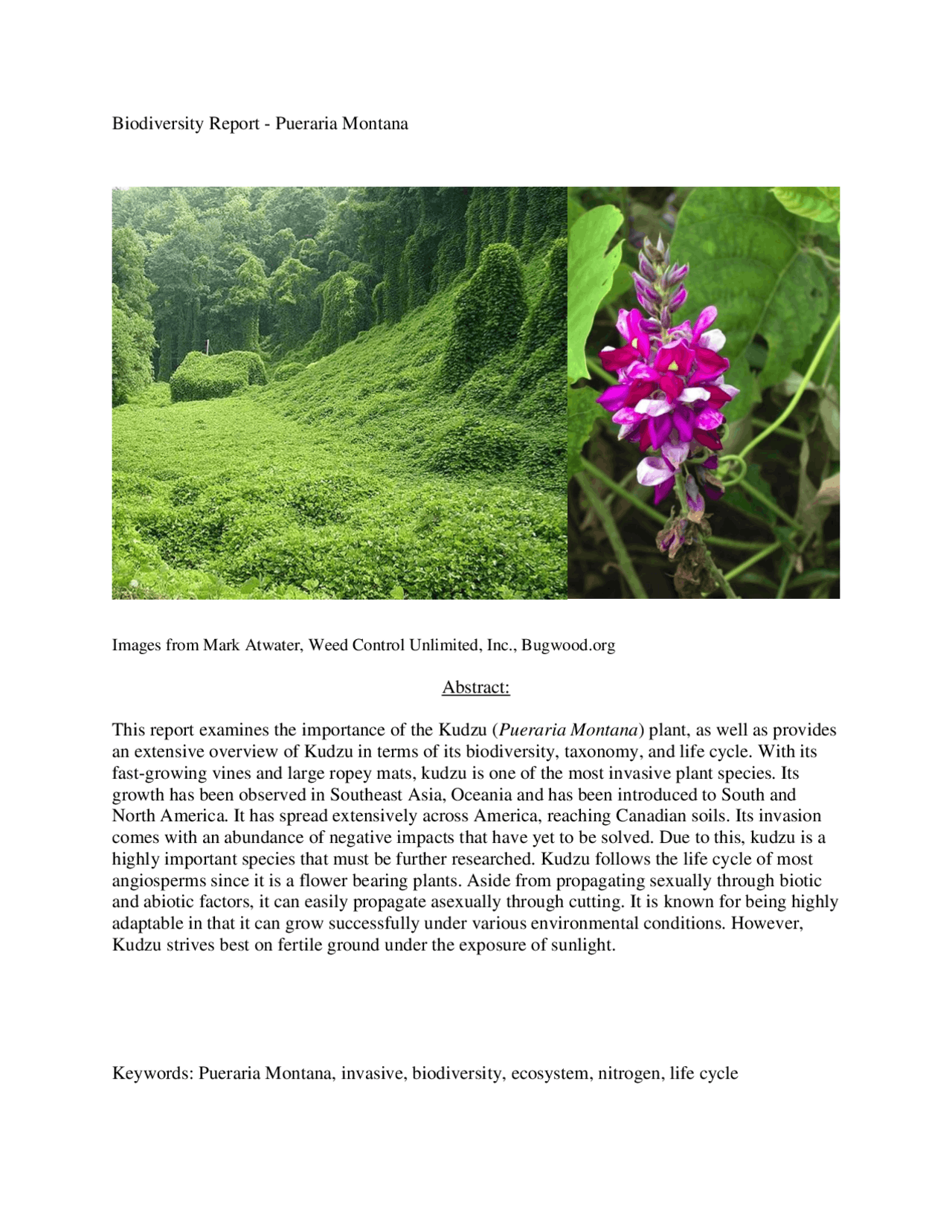 Bio 2137 Biodiversity Report Introduction To Plant Science Docsity