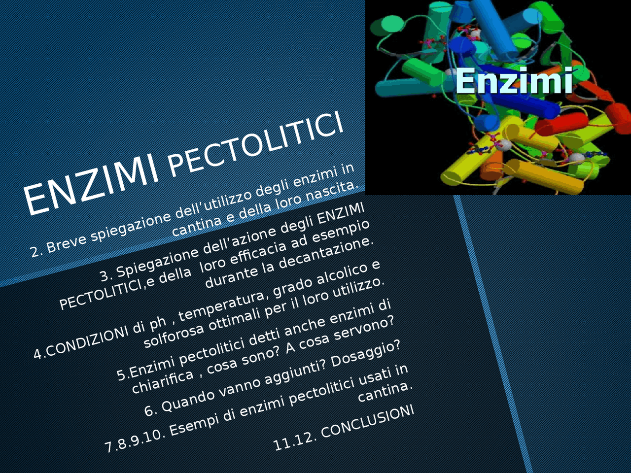 Power Point Enzimi Pectolitici E Applicazioni In Vinificazione Schemi