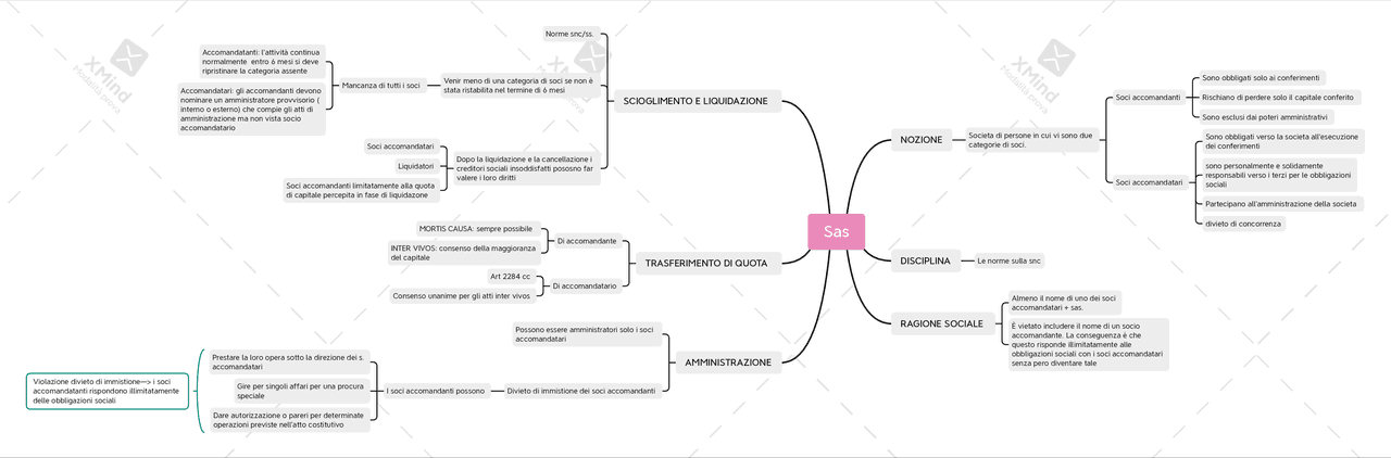 Mappa Concettuale Sas Docsity