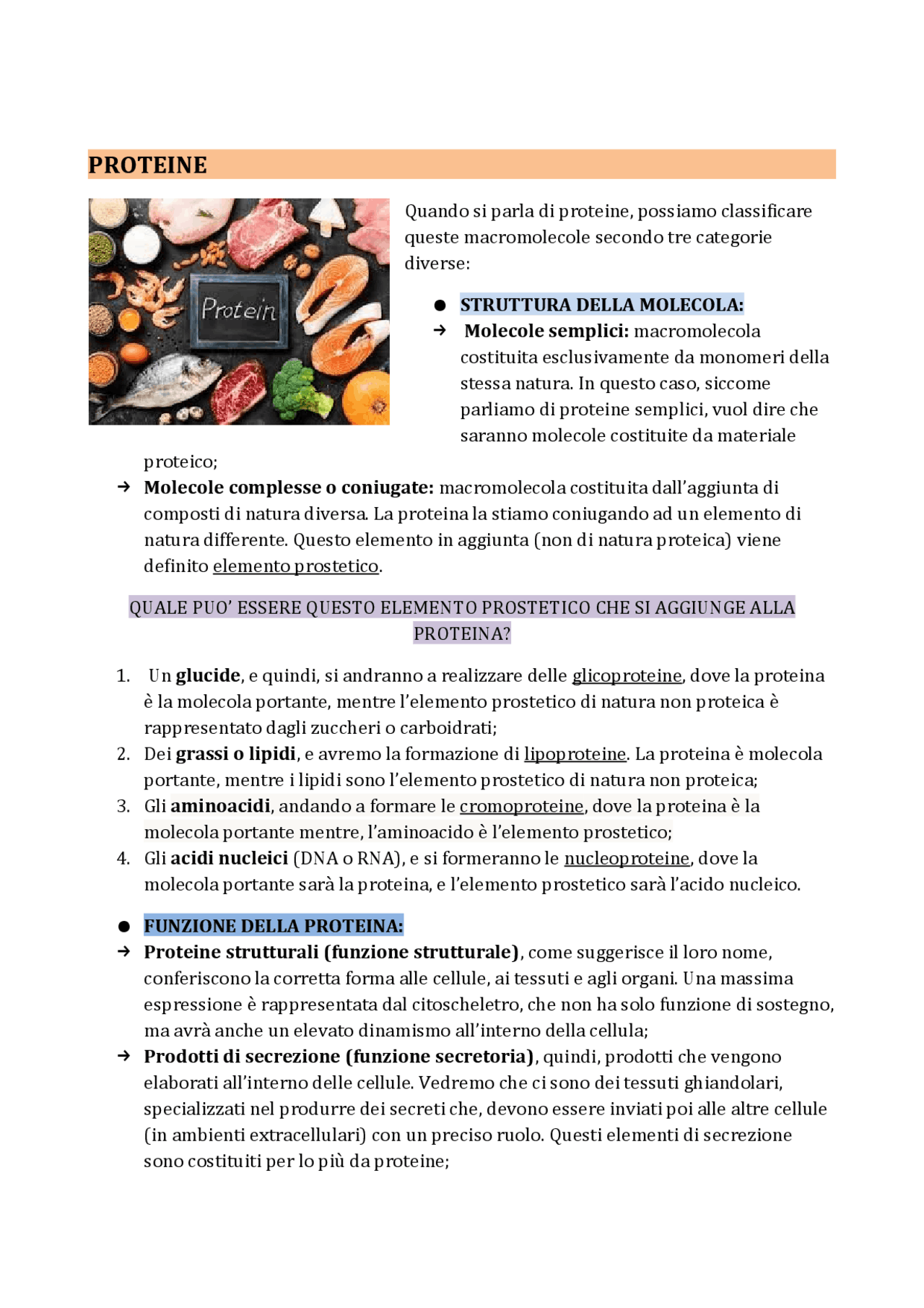 Proteine E Lipidi Sintesi Docsity