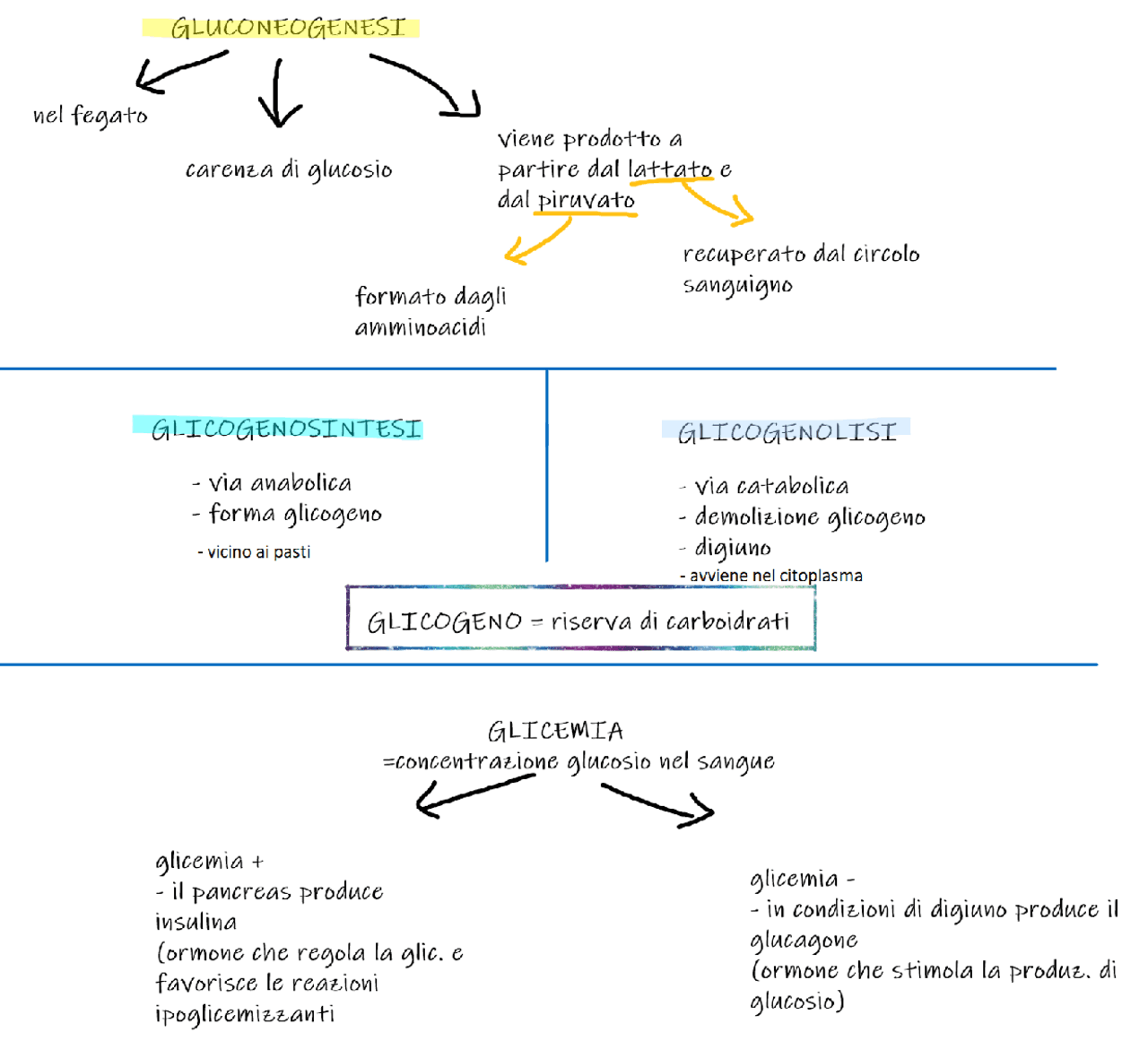 Schema glucosio e glicogeno | Schemi e mappe concettuali di Scienze ...