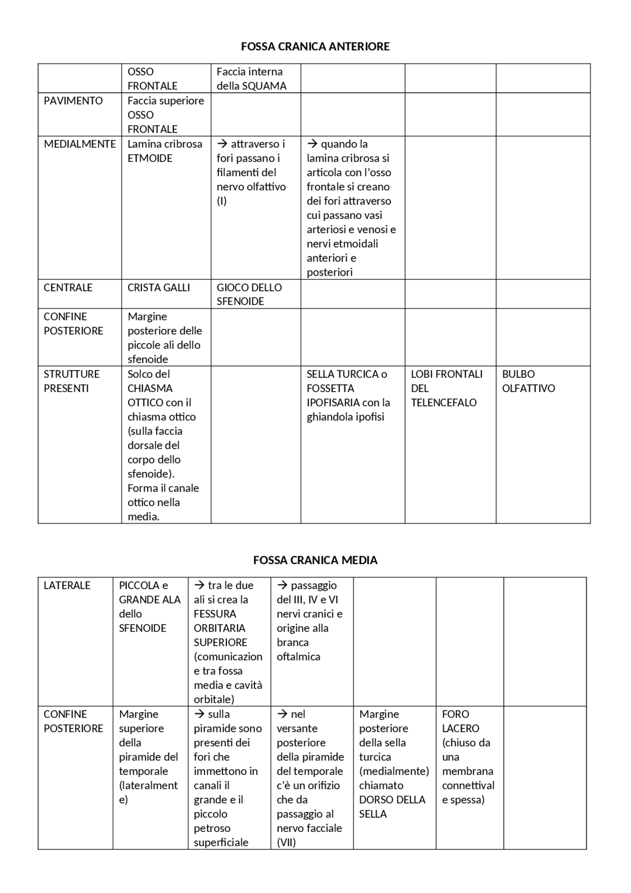Fosse Craniche Anatomia Speciale Docsity