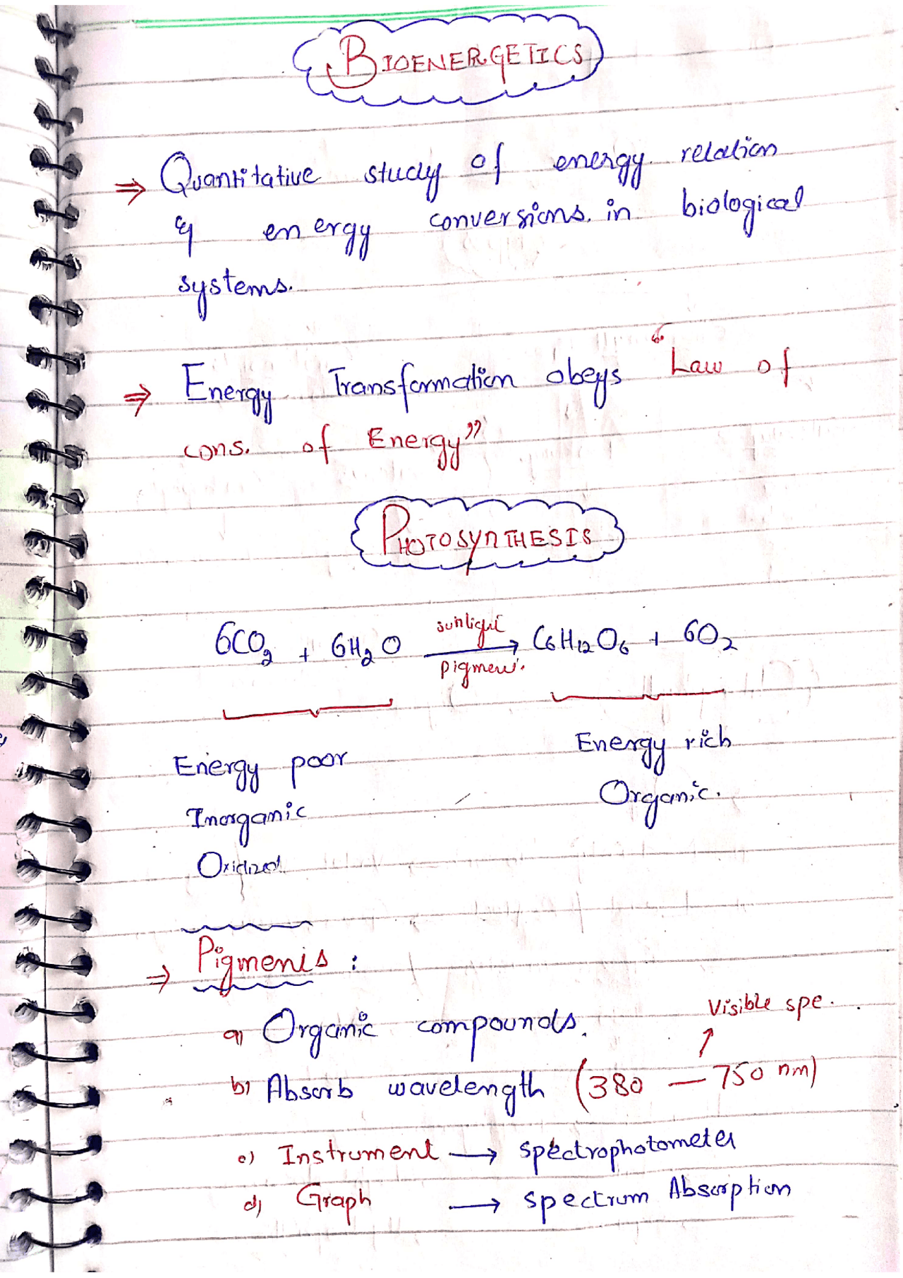 Biology - Bioenergetics Complete Handwritten Notes - Docsity