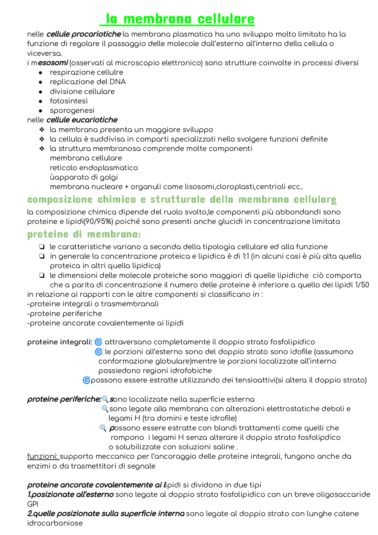 Membrana Cellulare Di Eucarioti E Procarioti Docsity