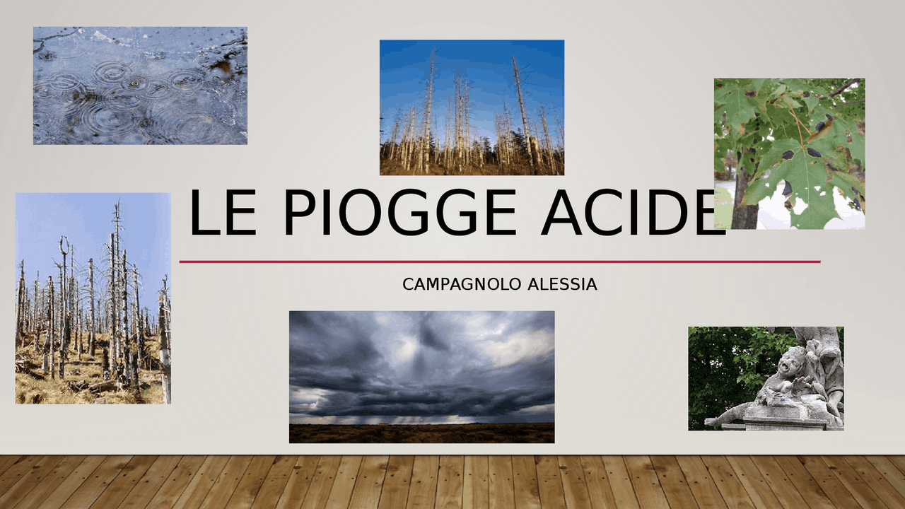 Le piogge acide -scienze della terra - Docsity