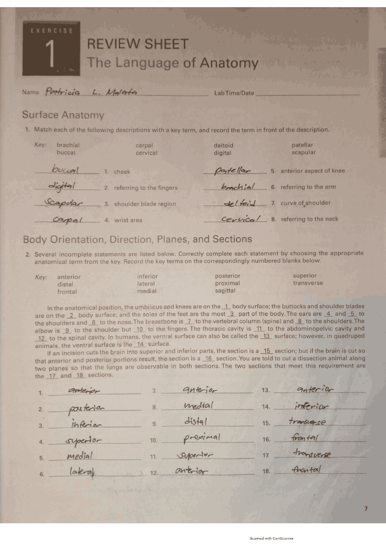 Exercise 1 The Language Of Anatomy Docsity