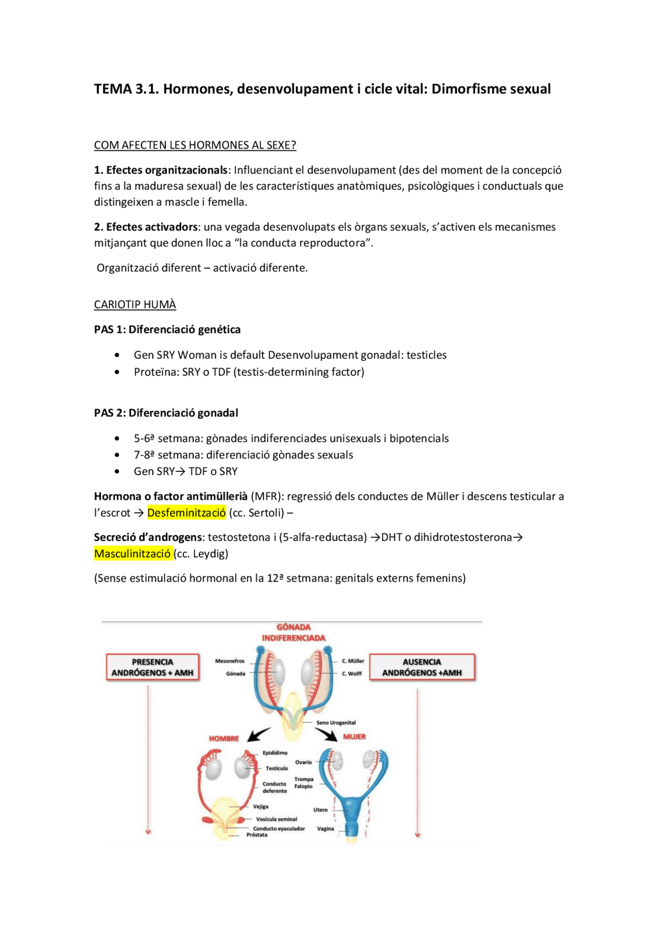 Tema 3 Psicoendocrinologia Apuntes De Endocrinología Docsity