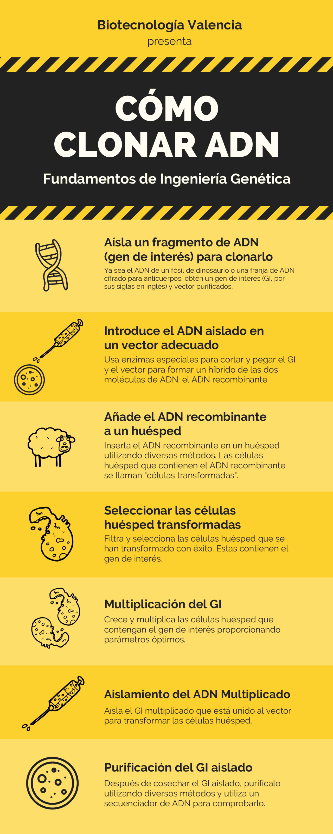 Genetica genetica como clonar adn - Docsity