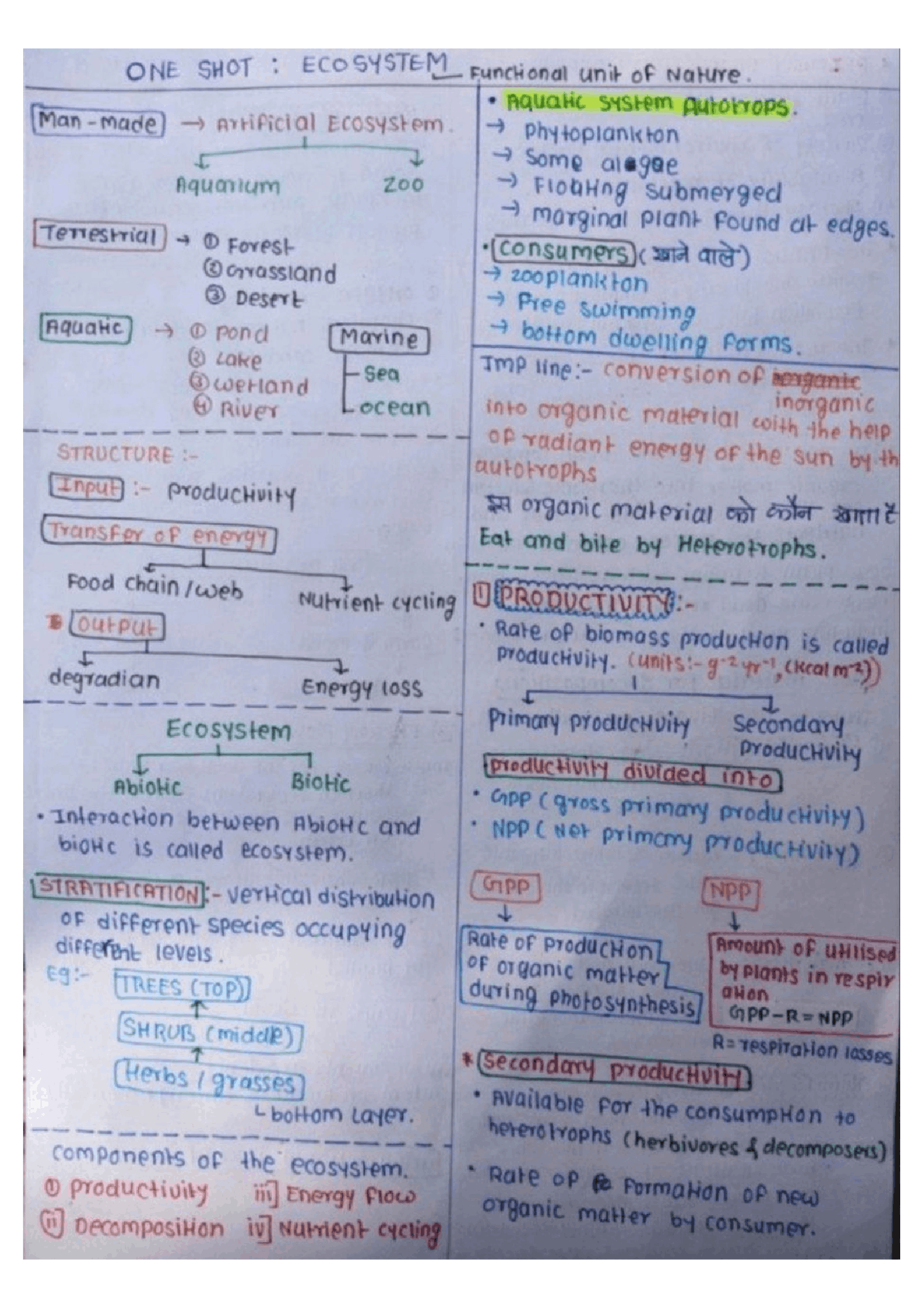 Biology Ecosystem Colorful Handwritten Notes Docsity
