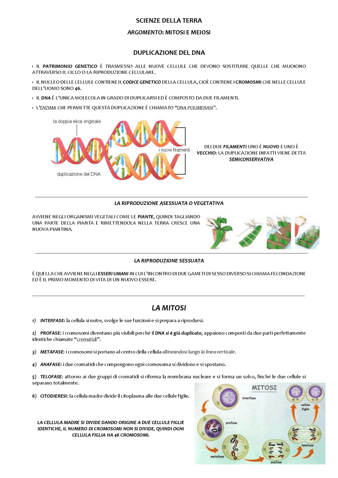 Mitosi E Meiosi Scienze Della Terra Docsity