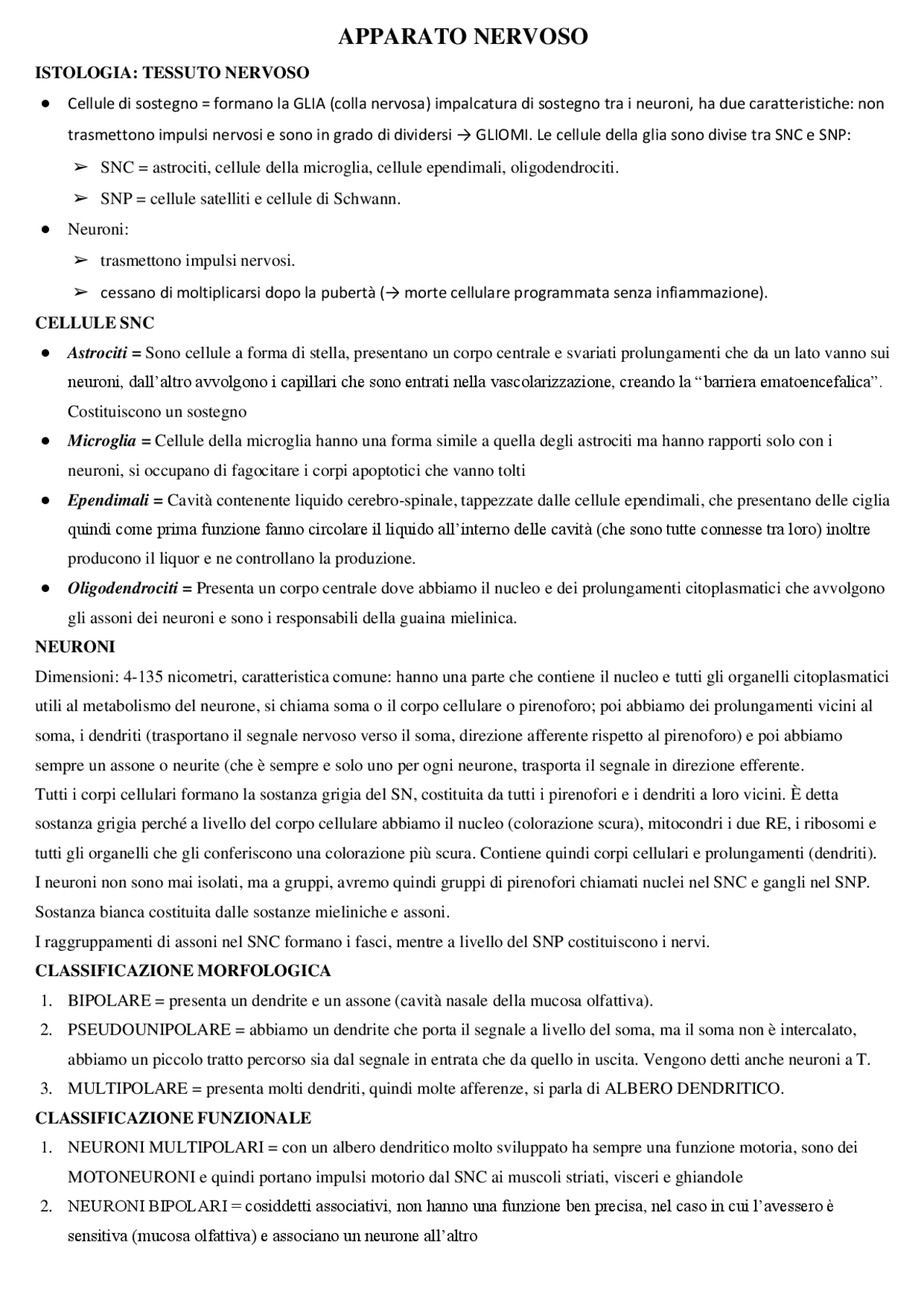 Appunti Sullapparato Nervoso Docsity
