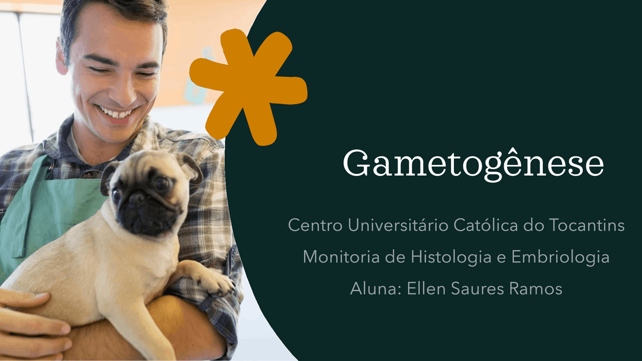 Resumo Sobre Gametogênese Docsity